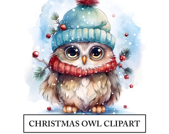 Watercolor Christmas Owl Clipart High Quality Png Cute Owl - Etsy