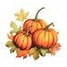 Pumpkins Clipart 13 High Quality Jpgs Halloween Autumn Orange Vegetable ...