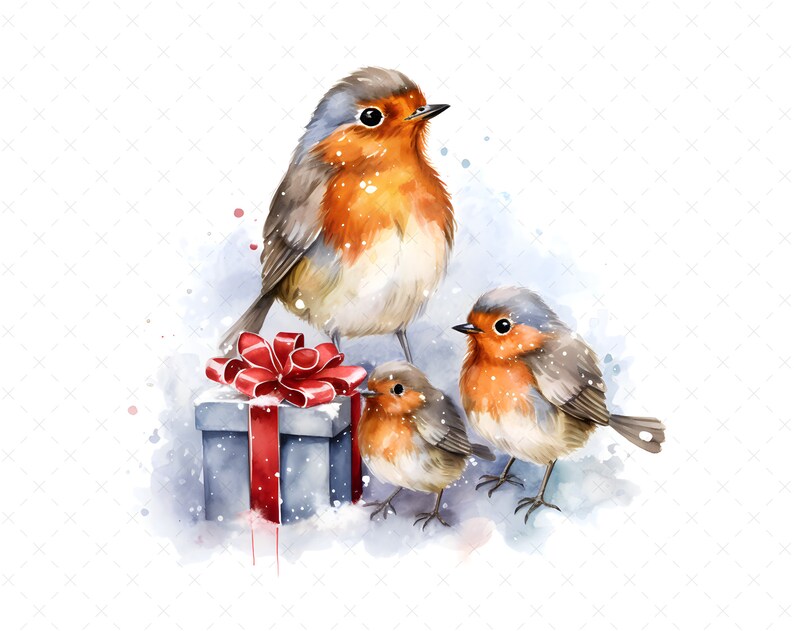 Robins at Christmas Clipart 10 High Quality Jpgs Elegant Festive Garden ...