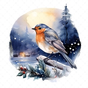 Christmas Robin Clipart 10 High Quality Jpgs Winter Animal Scene ...