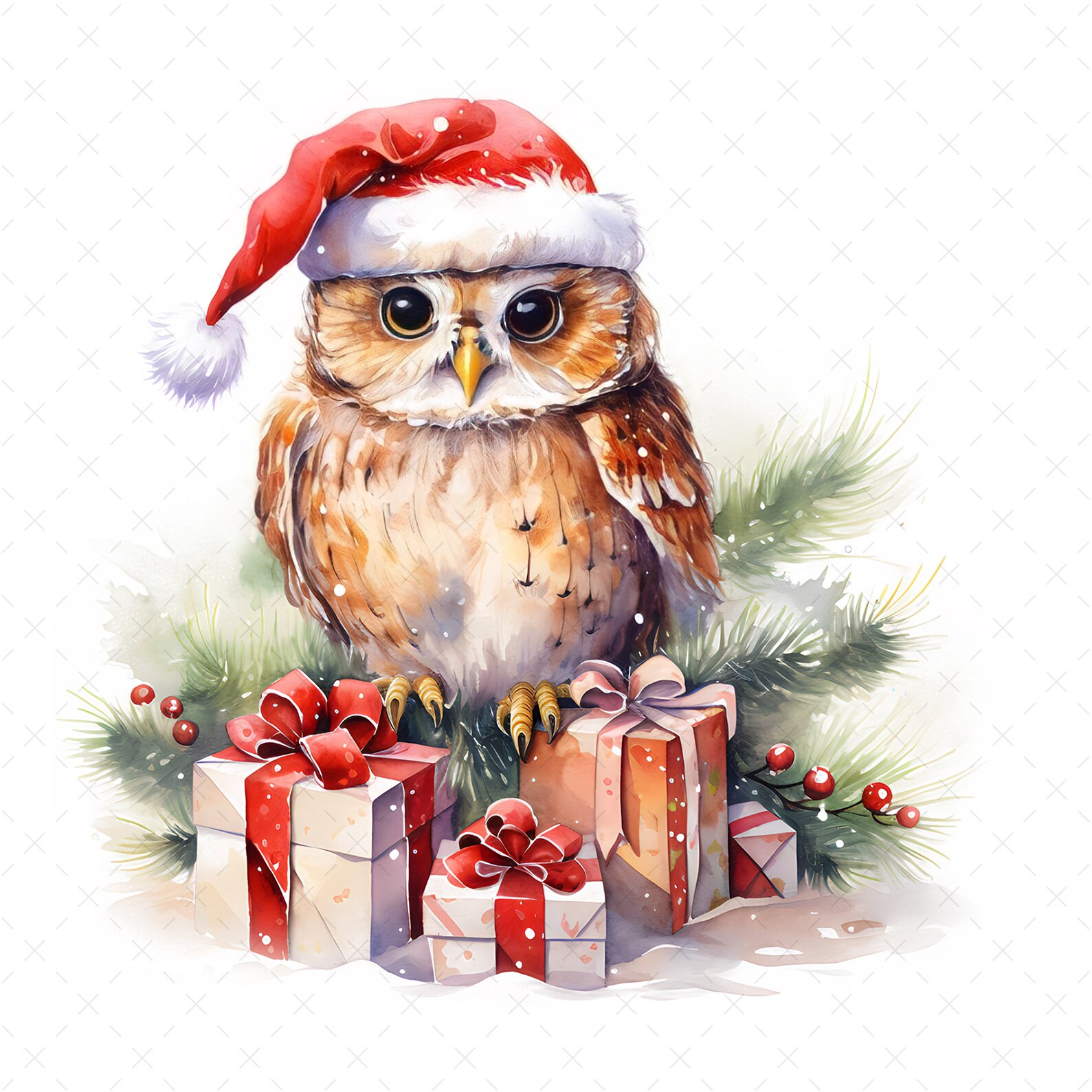 Christmas Owl Clipart 12 High Quality Jpgs Watercolor Santa Claus Art ...