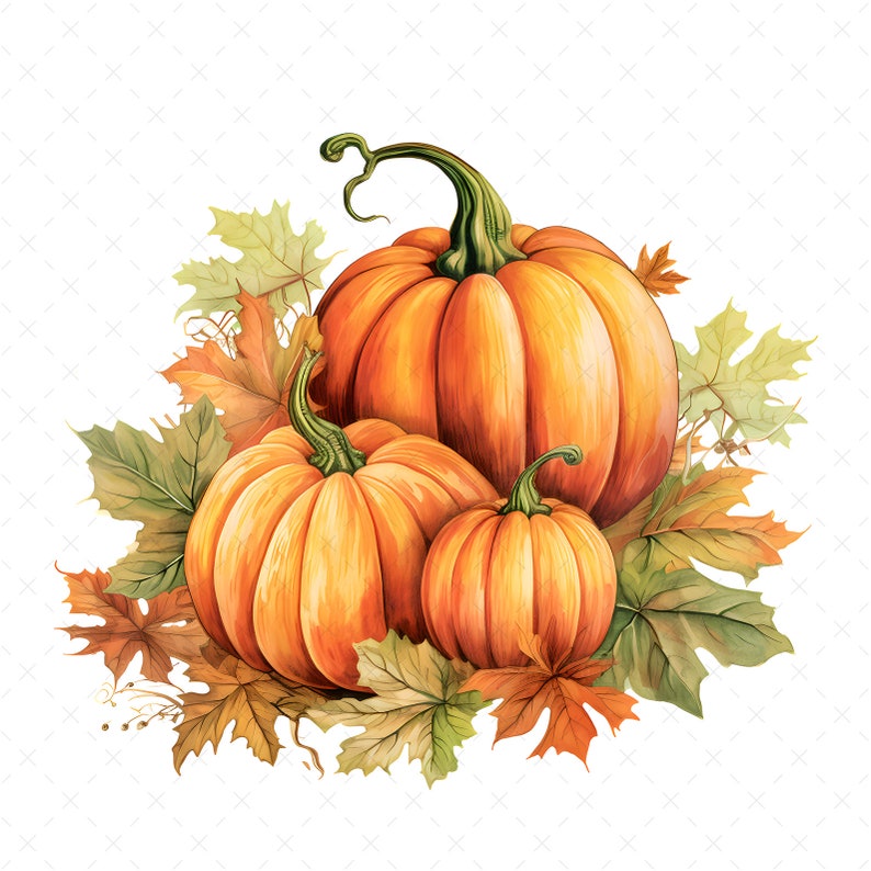 Pumpkins Clipart 13 High Quality Jpgs Halloween Autumn Orange Vegetable ...