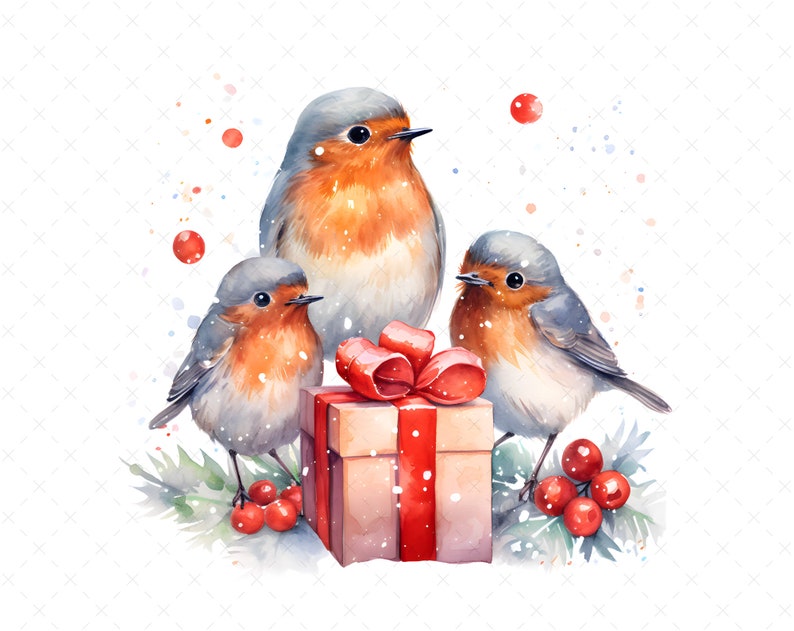 Robins at Christmas Clipart 10 High Quality Jpgs Elegant Festive Garden ...