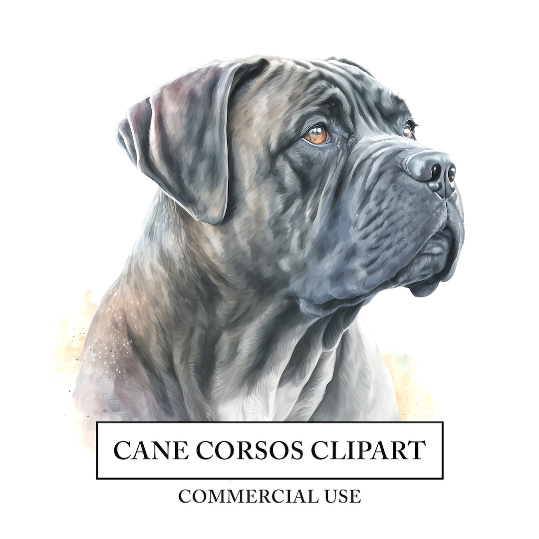 Cane Corsos Clipart 10 High Quality Jpgs Elegant Pet Portrait ...