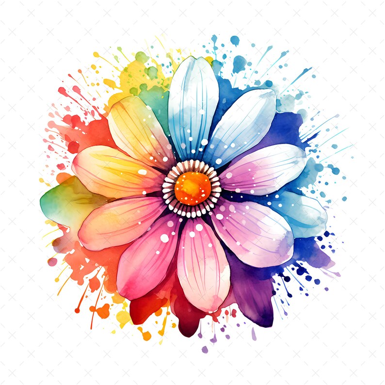 Rainbow Wild Flower Clipart 12 High Quality Jpgs Spring Plant Petal ...