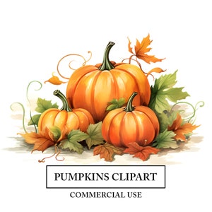 Pumpkins Clipart 13 High Quality Jpgs Halloween Autumn Orange Vegetable ...
