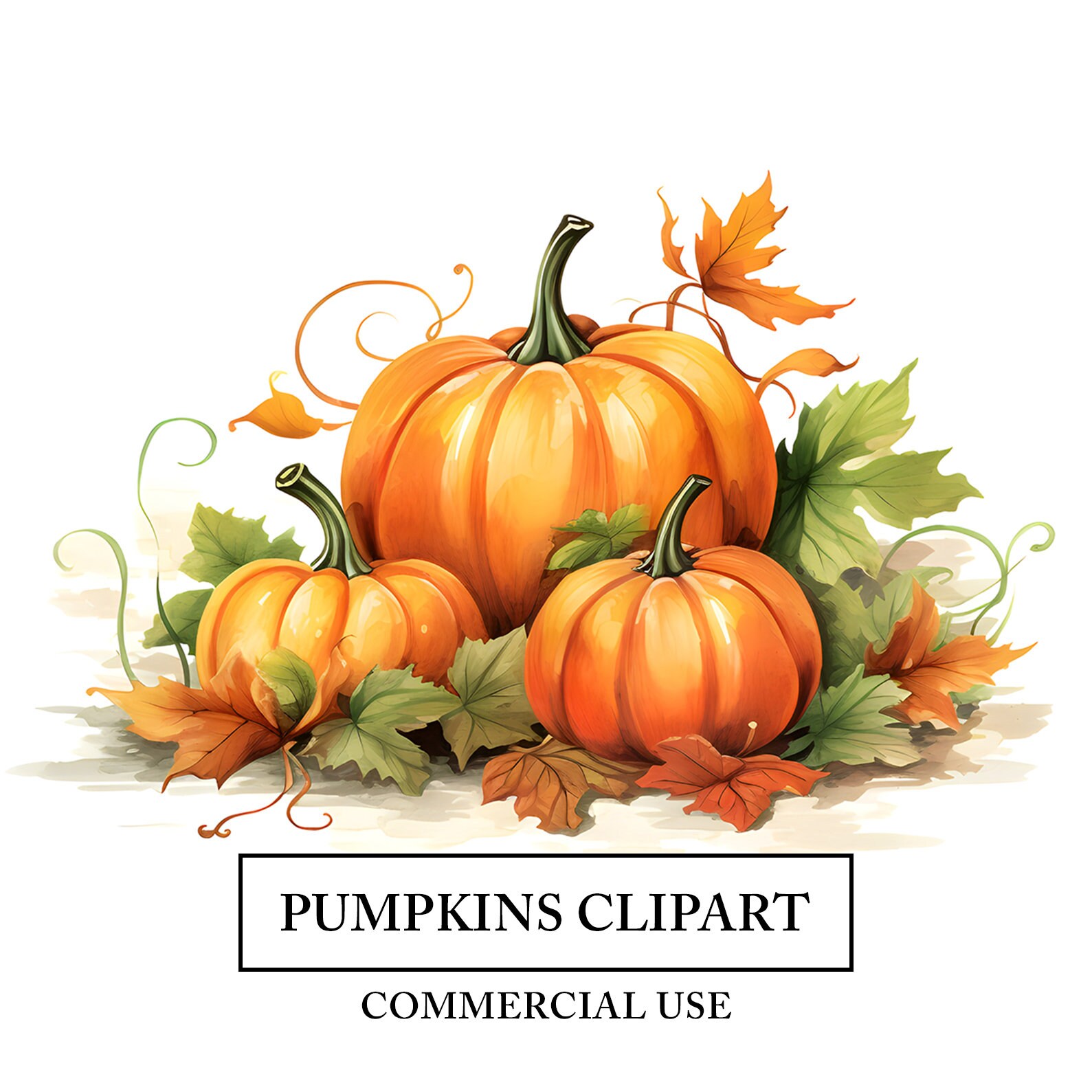 Pumpkins Clipart 13 High Quality Jpgs Halloween Autumn Orange Vegetable ...