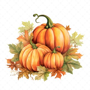 Pumpkins Clipart 13 High Quality Jpgs Halloween Autumn Orange Vegetable ...