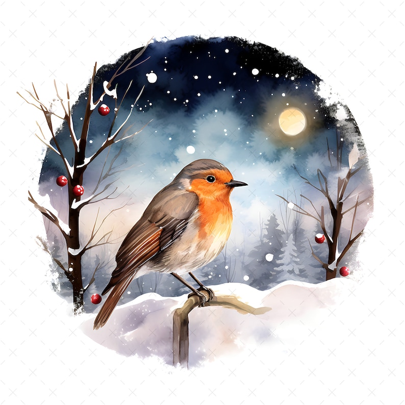 Christmas Robin Clipart 10 High Quality Jpgs Winter Animal Scene ...