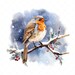 Christmas Robin Clipart 10 High Quality Jpgs Winter Animal Scene ...