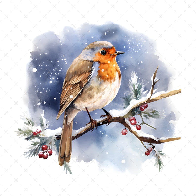 Christmas Robin Clipart 10 High Quality Jpgs Winter Animal Scene ...