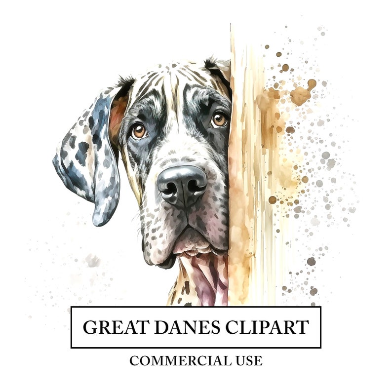 Great Danes Clipart 10 High Quality Jpgs Pet Dog Portrait Watercolor ...