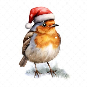 Christmas Robin Clipart 8 High Quality Jpgs Enchanting Festive Winter ...