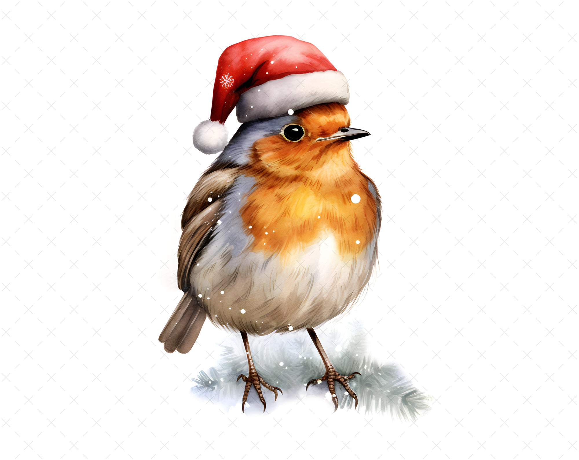 Christmas Robin Clipart 8 High Quality Jpgs Enchanting Festive Winter ...