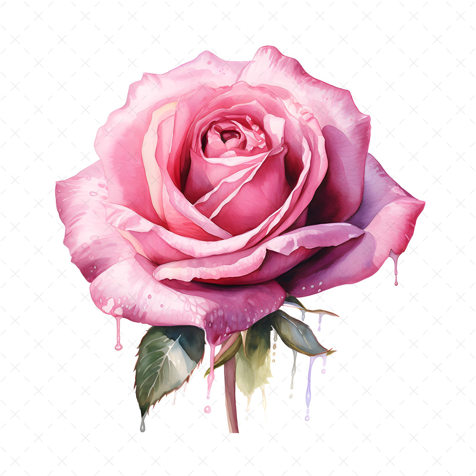 Single Pink Roses Clipart 8 High Quality Jpgs Teacup Vase Flower ...