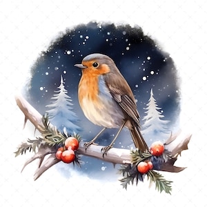 Christmas Robin Clipart 10 High Quality Jpgs Winter Animal Scene ...