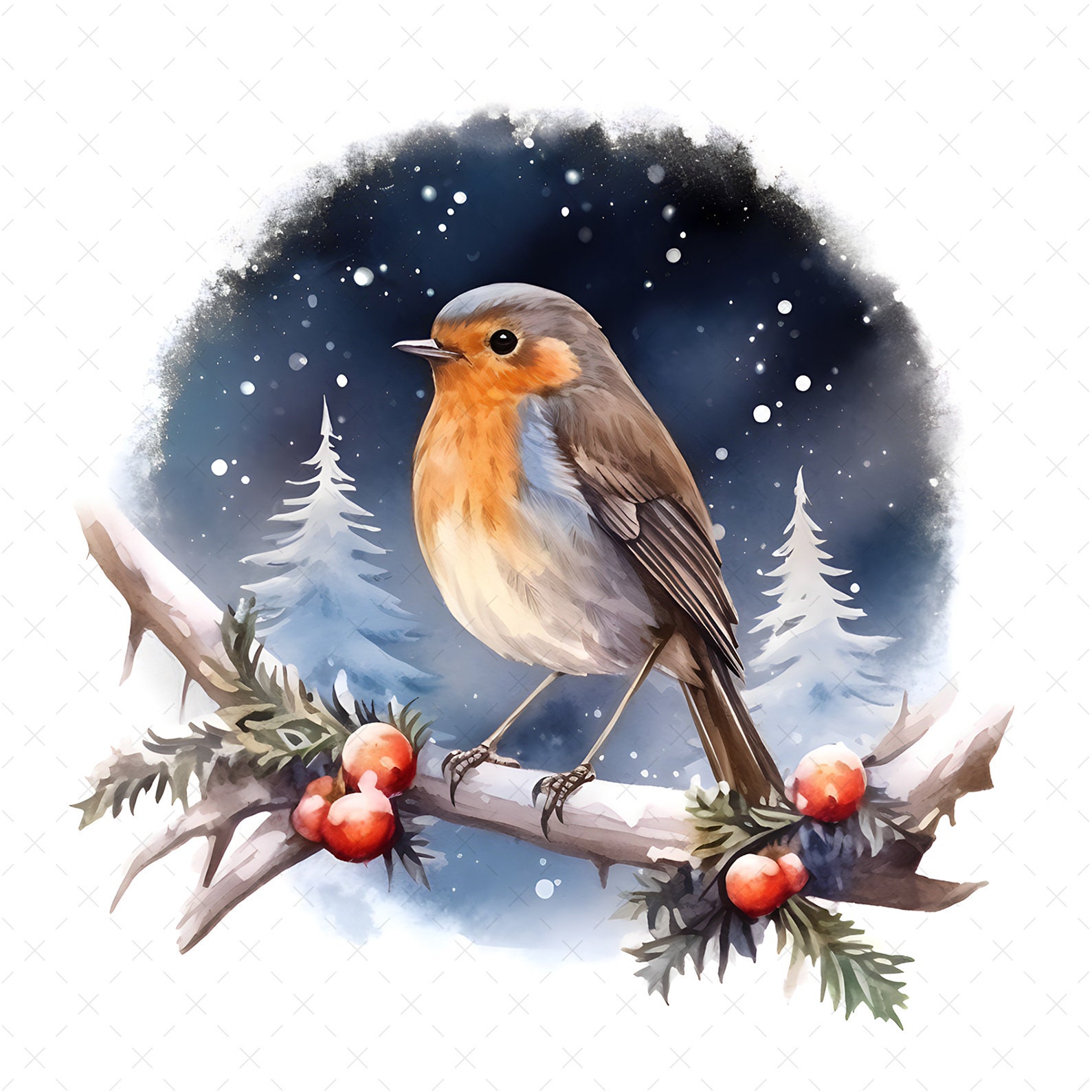 Christmas Robin Clipart 10 High Quality Jpgs Winter Animal Scene ...