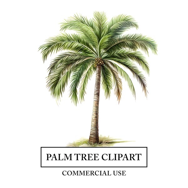 Palm Frond Art - Etsy