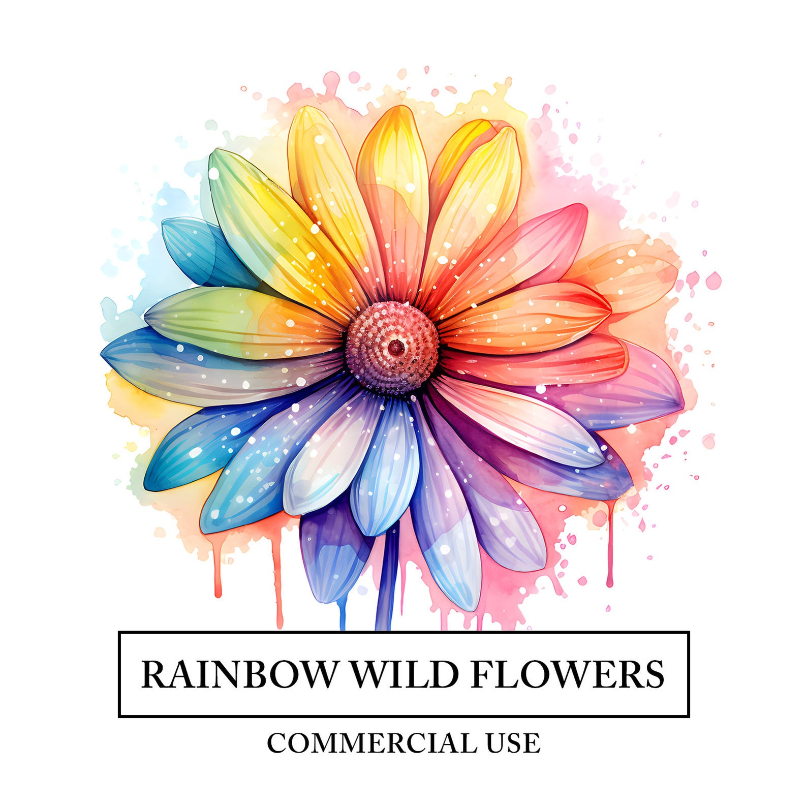 Rainbow Wild Flower Clipart 12 High Quality Jpgs Spring Plant Petal ...