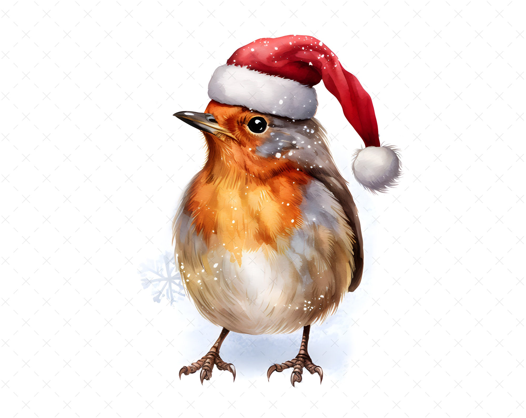 Christmas Robin Clipart 8 High Quality Jpgs Enchanting Festive Winter ...