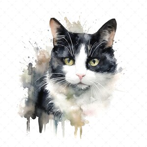 Black & White Cats Clipart 10 High Quality Jpgs Playful Kitten ...