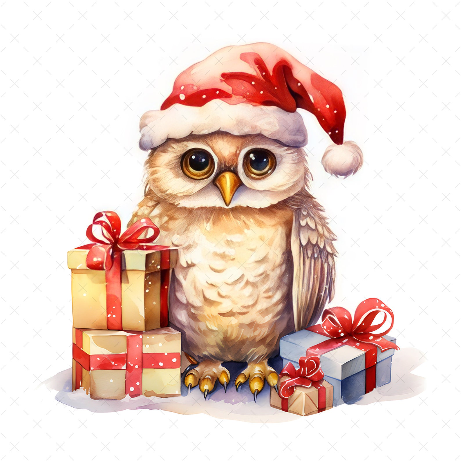 Christmas Owl Clipart 12 High Quality Jpgs Watercolor Santa Claus Art ...
