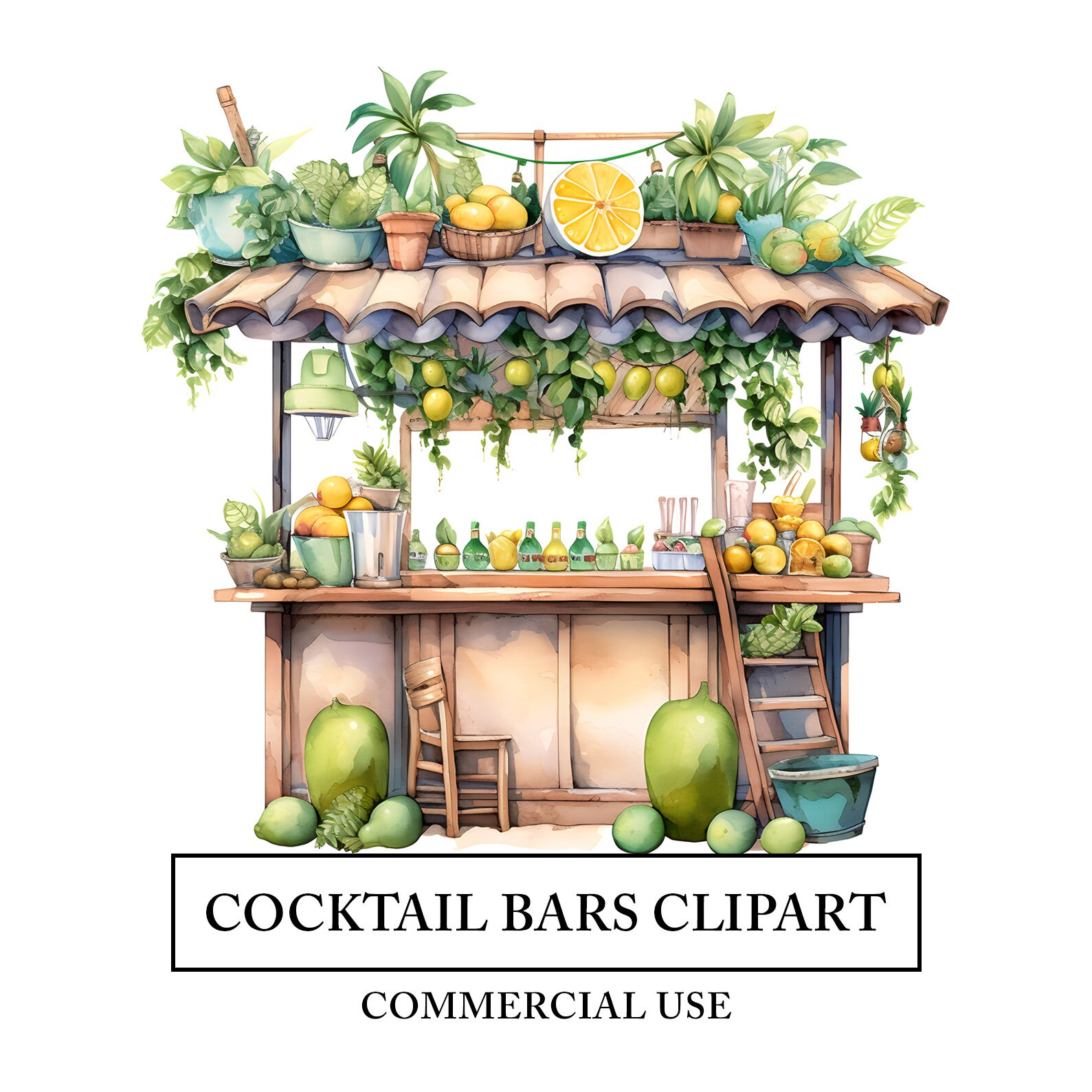 Cocktail Bar Clipart 20 High Quality Jpgs Elegant Flower Watercolor Art ...