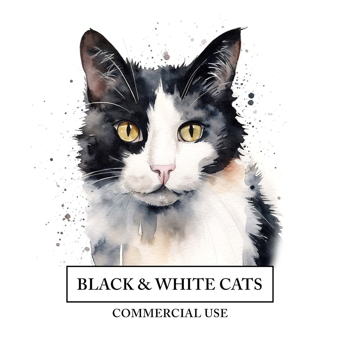 Black & White Cats Clipart 10 High Quality Jpgs Playful Kitten ...