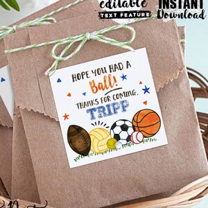 INSTANT DOWNLOAD - EDITABLE Sports Birthday Favor Tags Sports Birthday ...