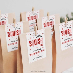 I Squish You a Happy Valentine's Day Treat Tag, Non-candy Squishy Toy ...