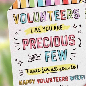 Volunteer Appreciation Gifts Tag Editable Printable Volunteer Thank You ...