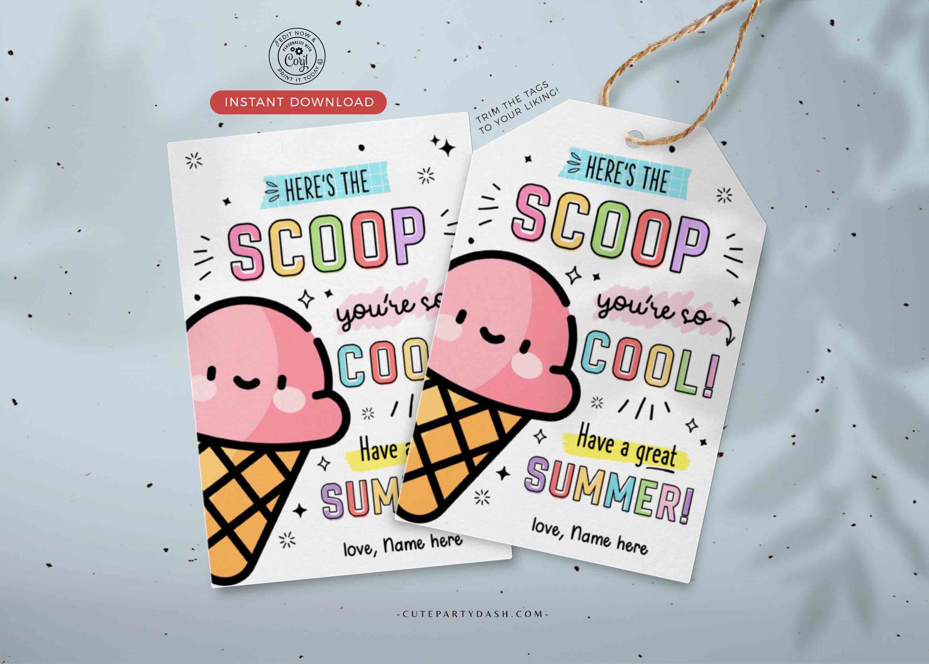 Ice Cream Gift Tag Printable: Editable Summer Tag (instant Download) - Etsy