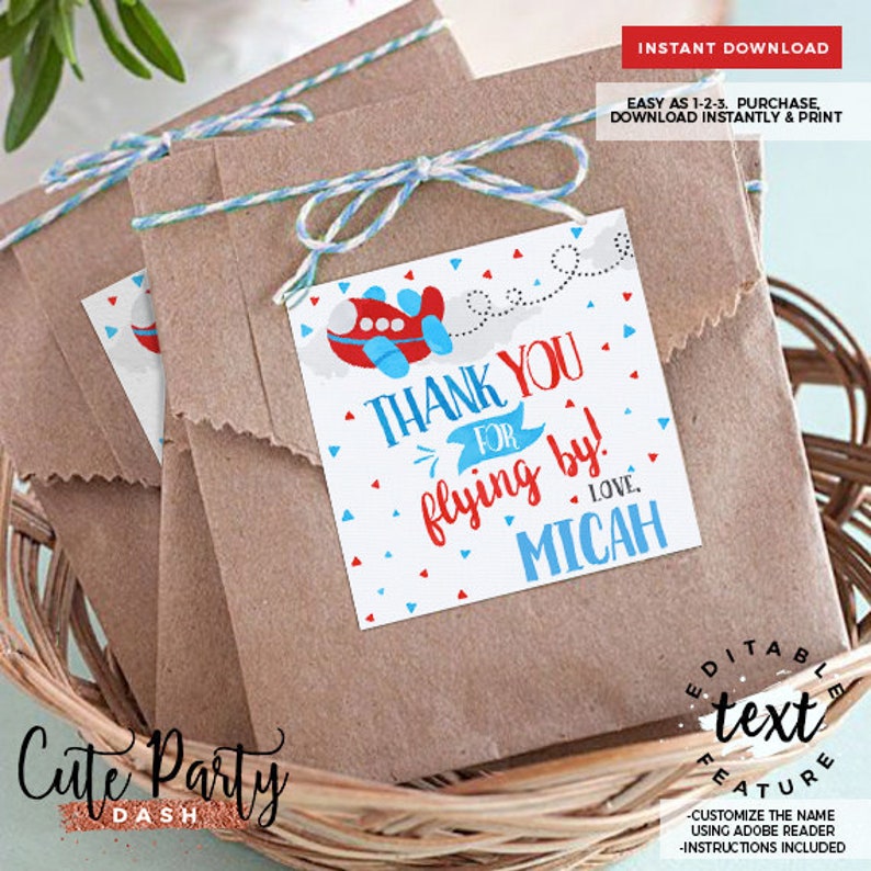 INSTANT DOWNLOAD EDITABLE Airplane Birthday Favor Tags - Etsy