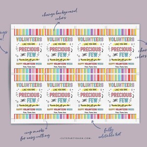 Volunteer Appreciation Gifts Tag Editable Printable Volunteer Thank You ...