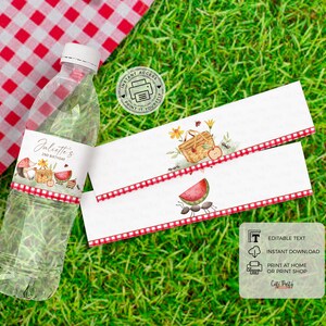 EDITABLE Picnic Birthday Favor Tag, Picnic in the Park Printable Gift ...