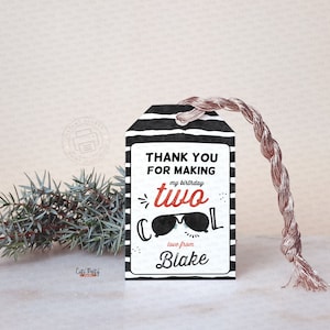 EDITABLE Two Cool Birthday Favor Tags, Printable Boy Second Birthday ...