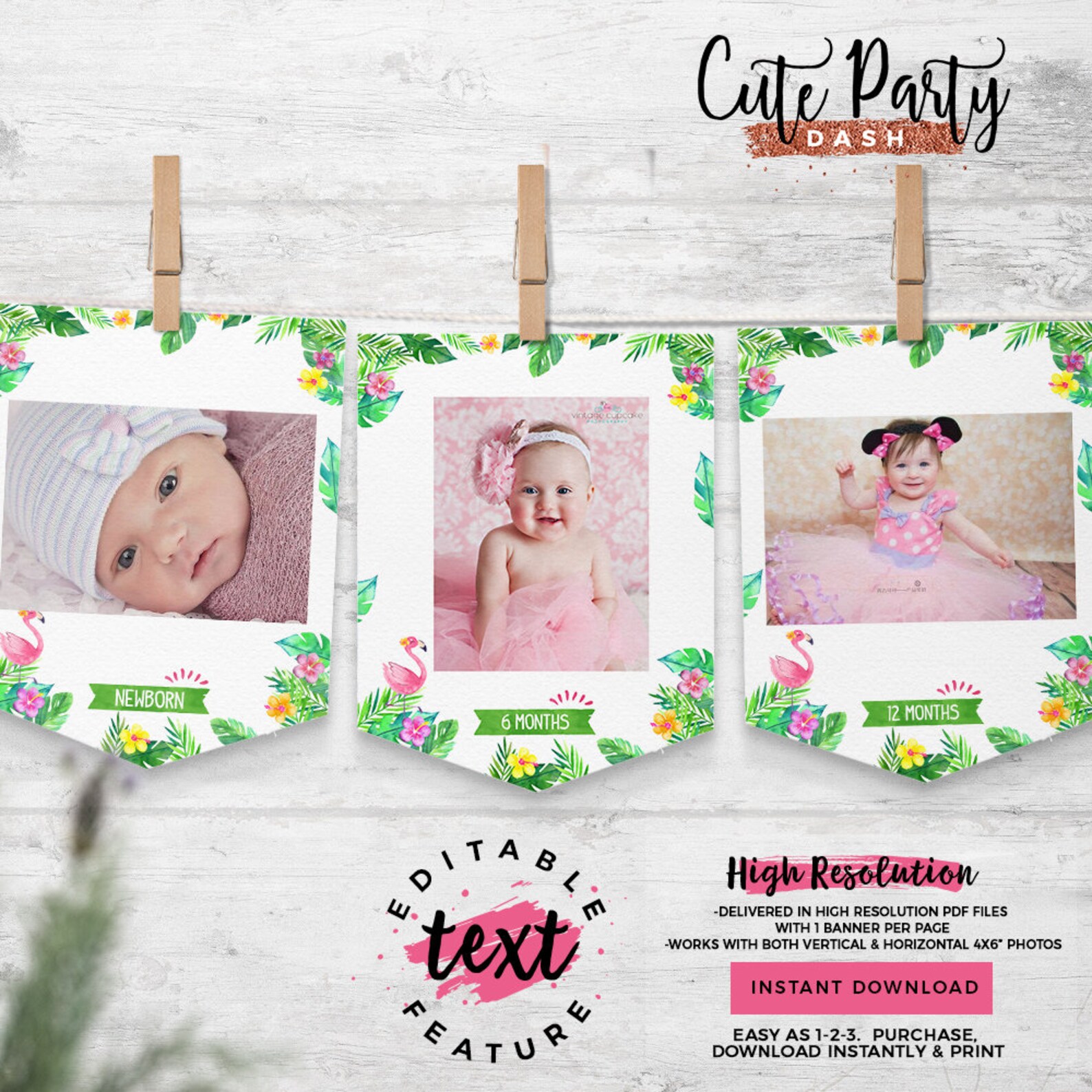 INSTANT DOWNLOAD Flamingo Corjl Invitation EDITABLE Flamingo | Etsy