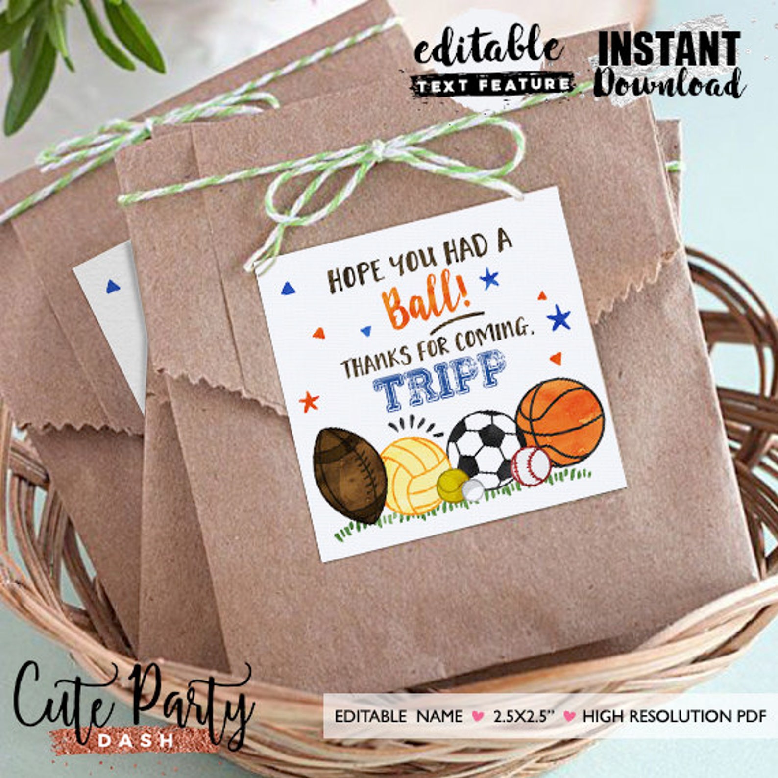 INSTANT DOWNLOAD EDITABLE Sports Birthday Favor Tags Sports Birthday ...