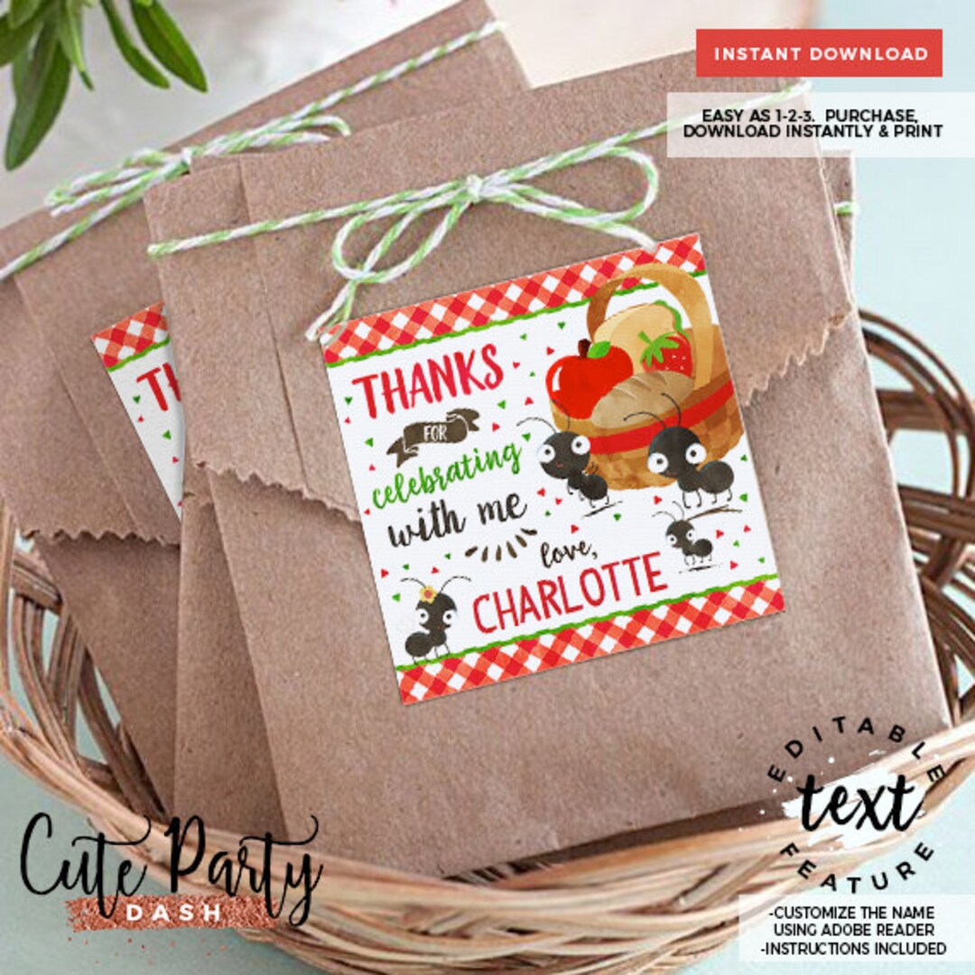 INSTANT DOWNLOAD - EDITABLE Picnic Birthday Favor Tags Summer Picnic in ...
