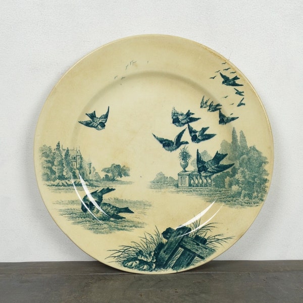 Antique Bird Plate - Etsy