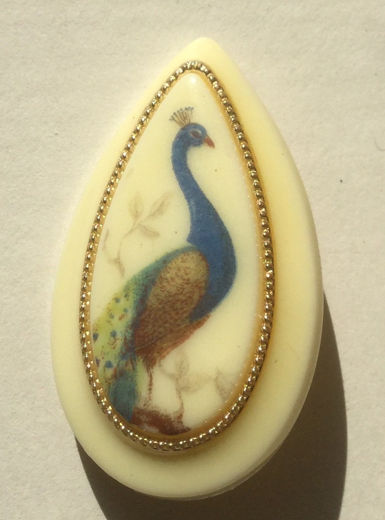 Colorful Peacock Bird teardrop shape vintage plastic button | Etsy