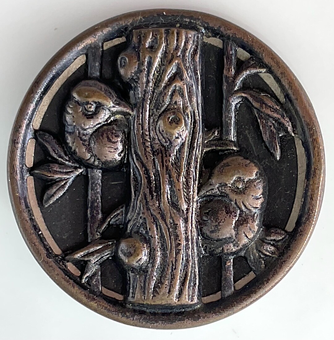 Large Birds Peeking Around Tree Truck Antique Picture Button Old ...