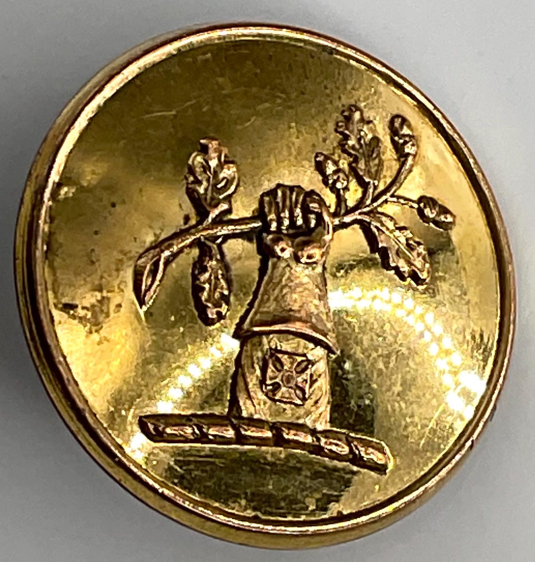 Antique Livery Button Raised Armored Hand Holds Oak Branch Leaves ...