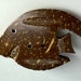 Large Realistic Shape Carved Coconut Shell Fish Button Vintage - Etsy