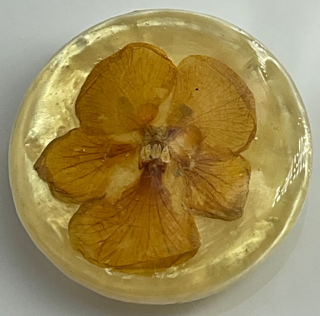 Dried Pansy Under Plastic Large Flower Vintage Acrylic Resin Button - Etsy