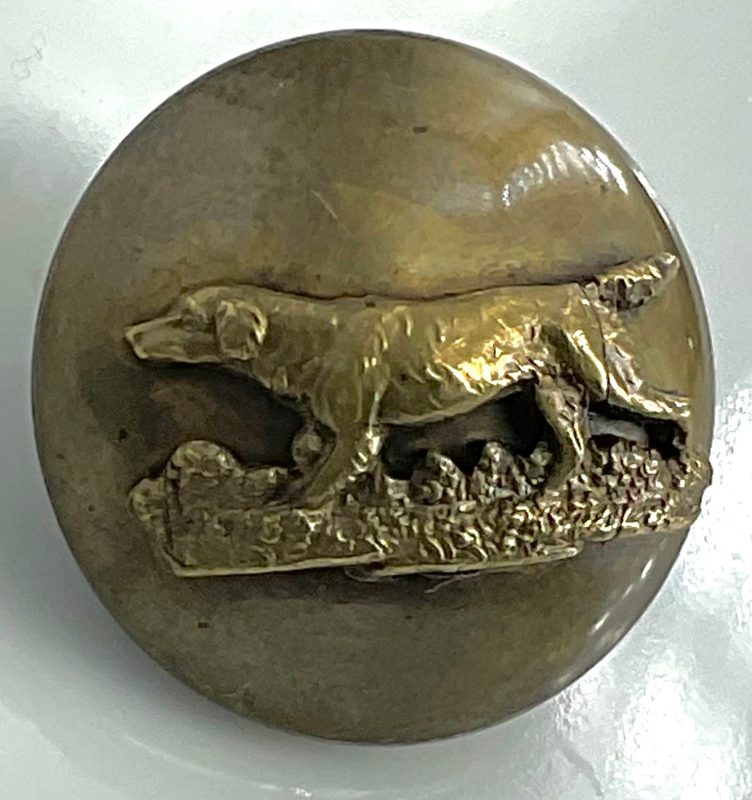 Retriever Dog Hunting Antique Sporting Antique Victorian Picture Button ...