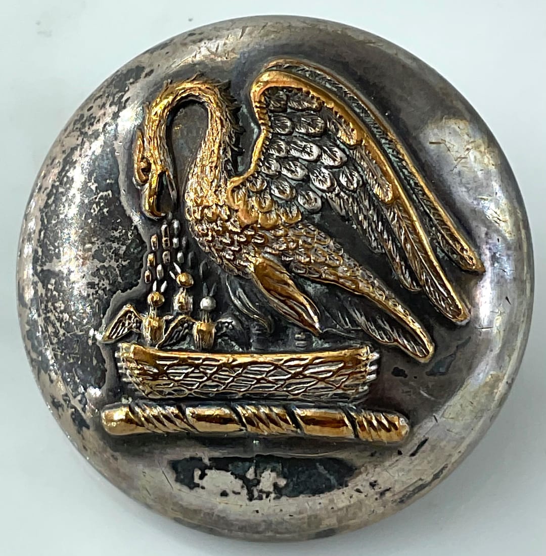 Antique Pelican Piety Nest Birds Livery Button Scovill Backmark Old - Etsy