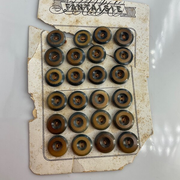 Antique Vegetable Ivory Buttons - Etsy