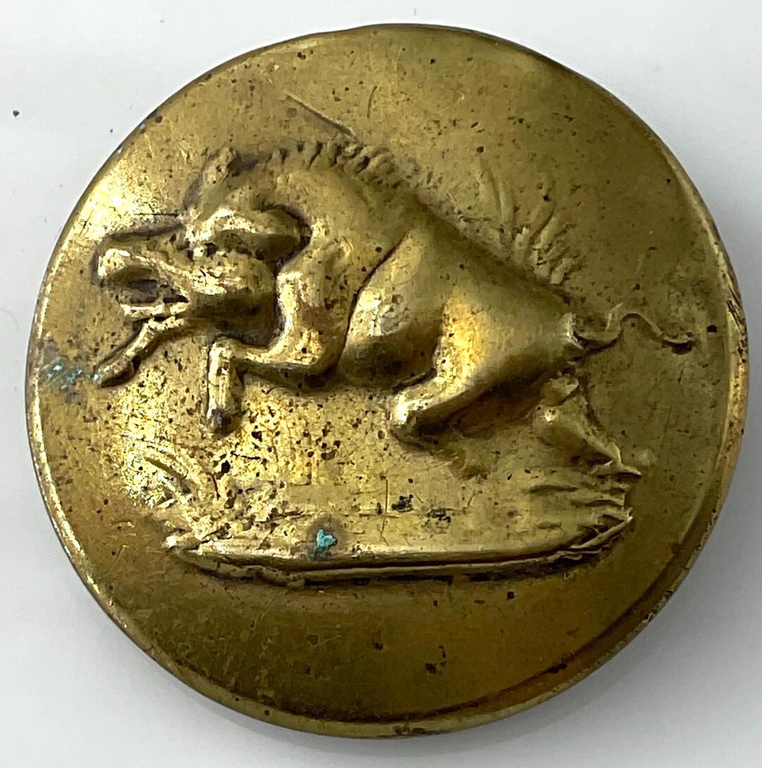 Wild Boar Field Antique Sporting Animal Hunt Picture Button Victorian ...