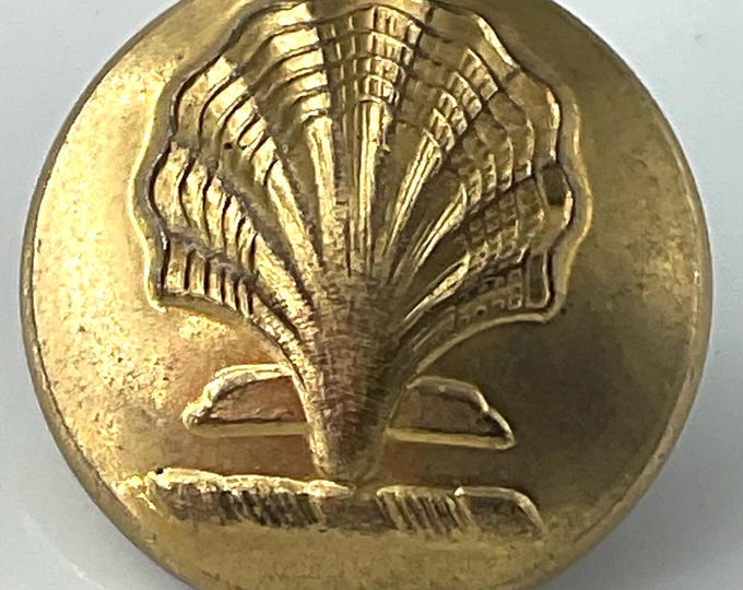 Antique Livery Button Raised Seashell Shell Gaunt Backmark Old - Etsy